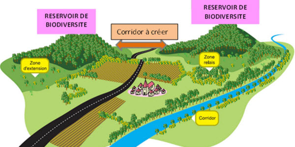 Prayssac créé des corridors pour la biodiversité – Blog des Bourians