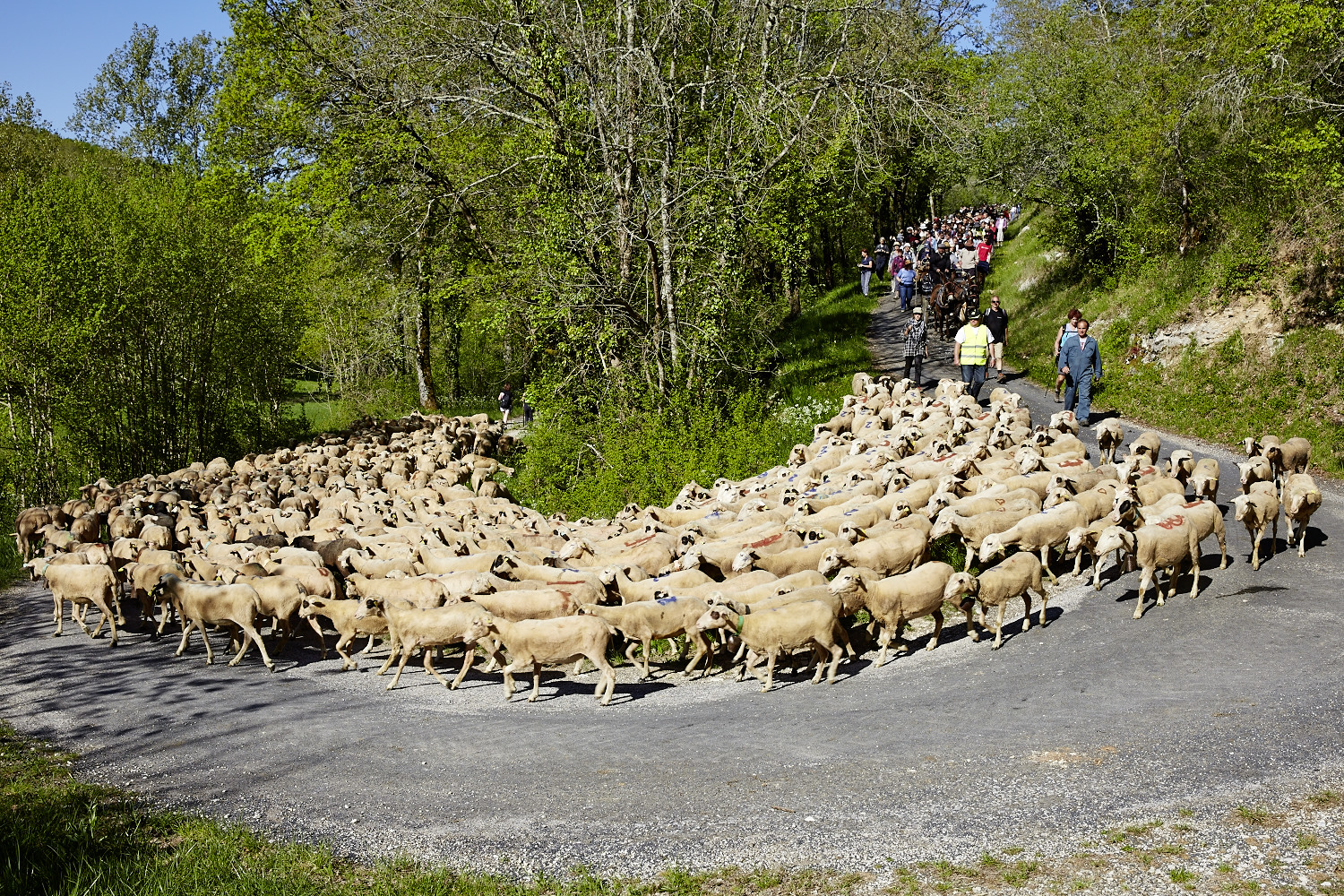 Transhumance Du 10 Au 14 Avril Le Programme Blog Des Bourians