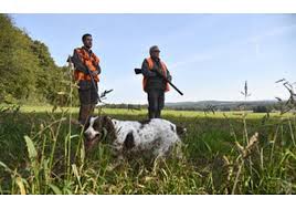 Nouveau schéma de gestion de la chasse – Blog des Bourians