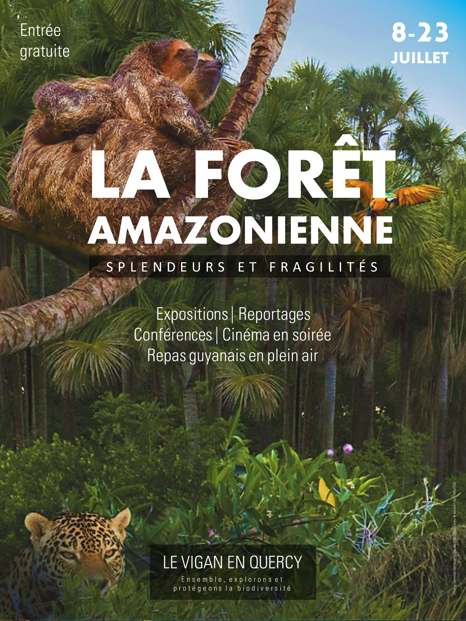 La forêt Amazonienne au Vigan – Blog des Bourians